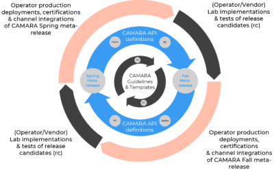 Release Management Process – Camara Project